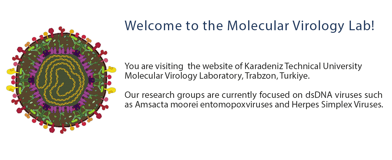Home | Molecular Virology Laboratory