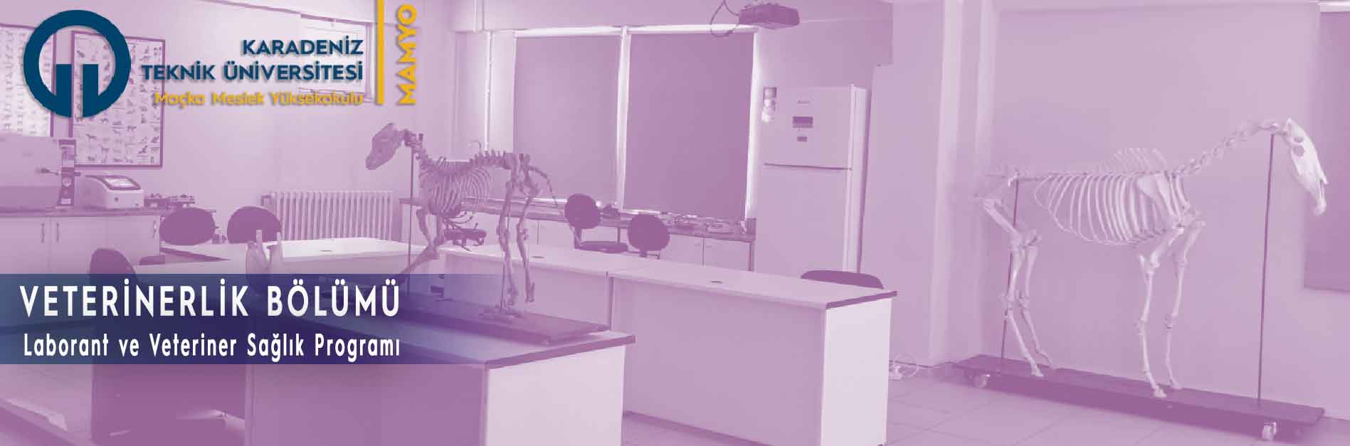 Anasayfa | Veterinerlik Bölümü
